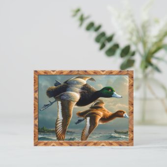 Duck Flying Postcard | Zazzle