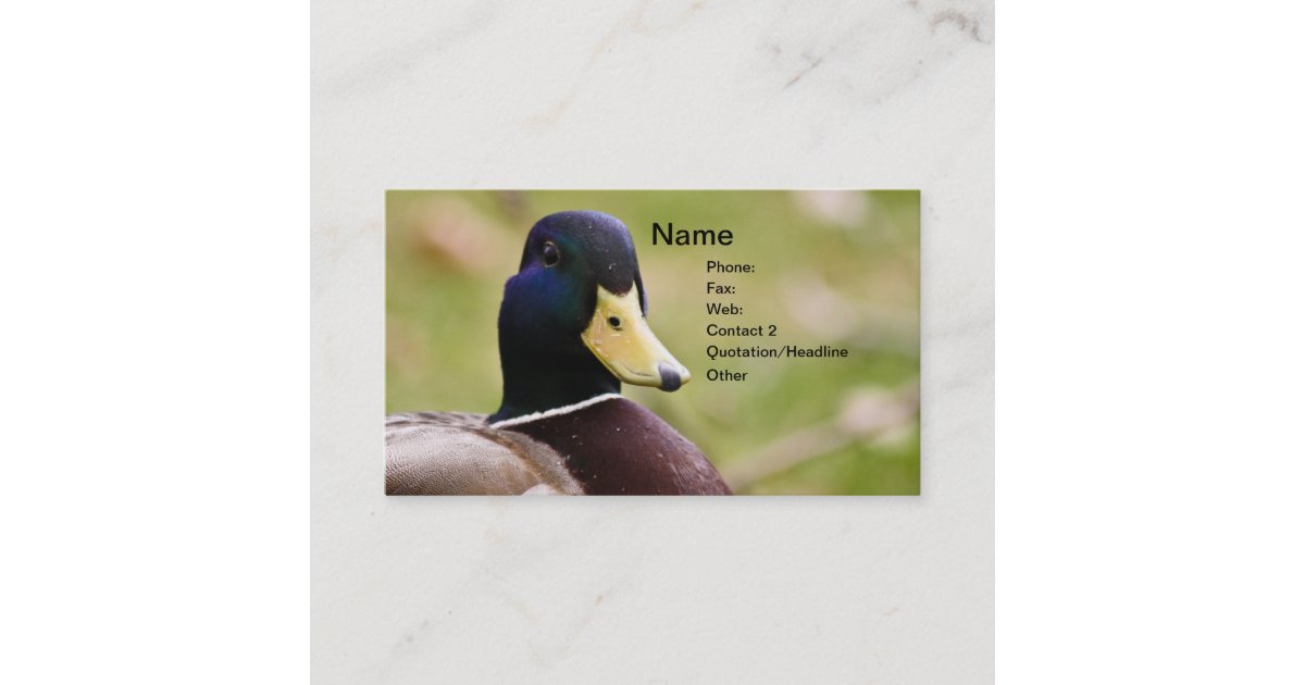 Duck Hunting Business Card | Zazzle