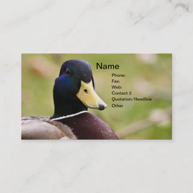 Duck Hunting Business Card | Zazzle