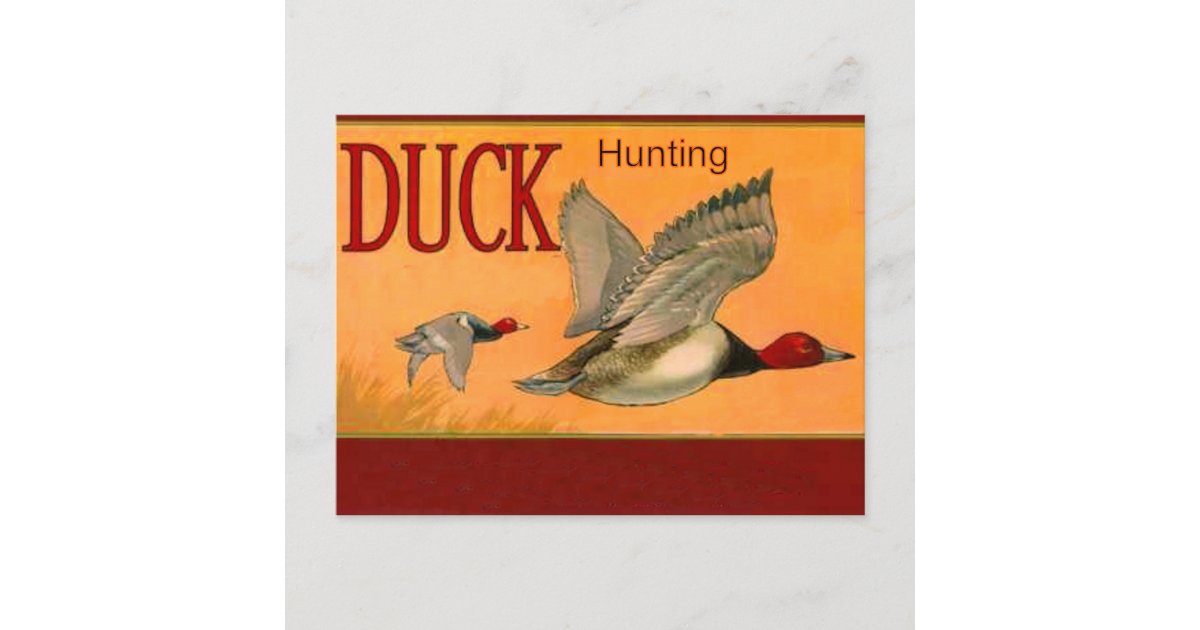 Duck Hunting Postcard | Zazzle