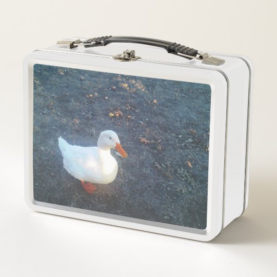 Duck Lunch Box | Zazzle.com