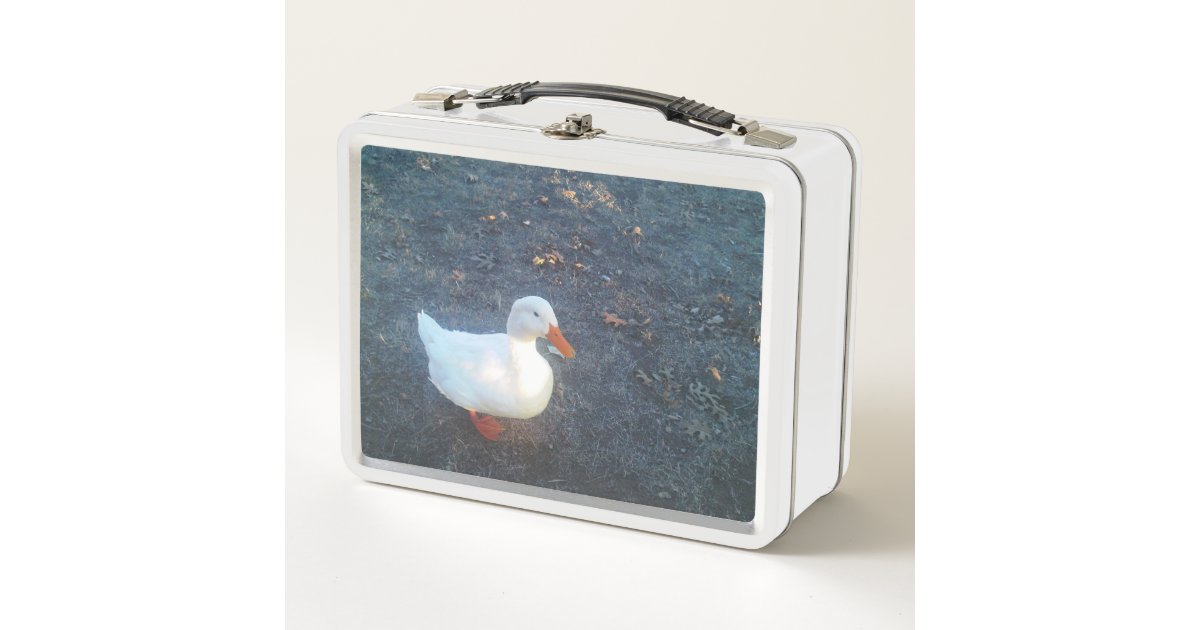 Duck Lunch Box | Zazzle
