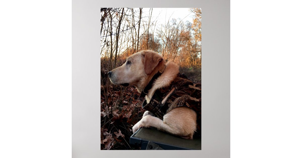 Duck Missile on the Launch Pad Poster | Zazzle