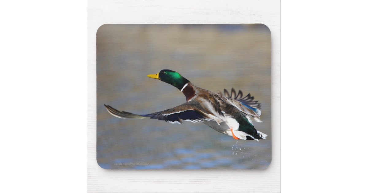 Duck Mouse Pad | Zazzle