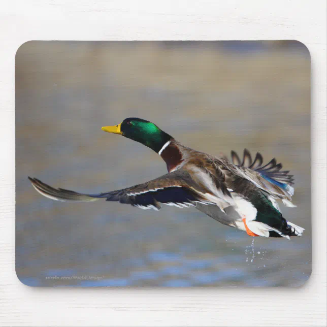 Duck Mouse Pad | Zazzle