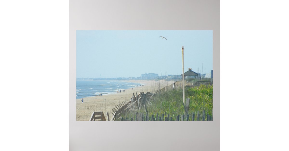 Duck North Carolina Coastline Poster | Zazzle