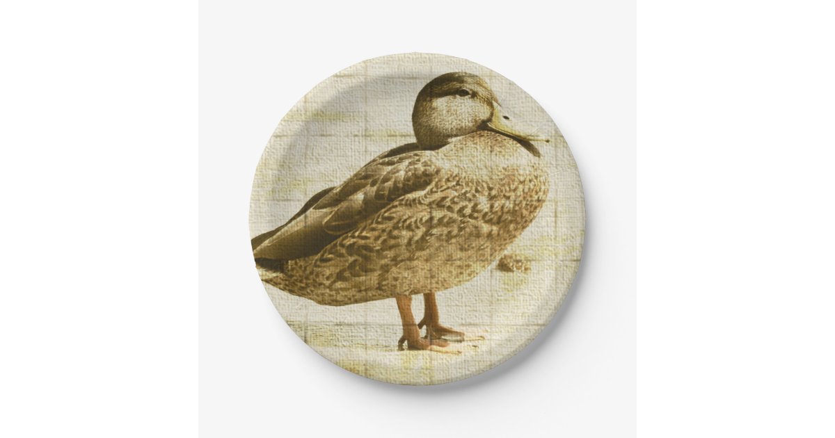 Duck Plate | Zazzle