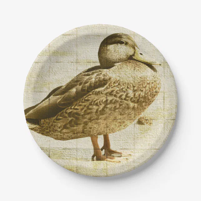 Duck Plate | Zazzle