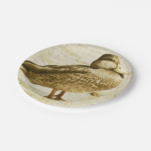 Duck Plate | Zazzle