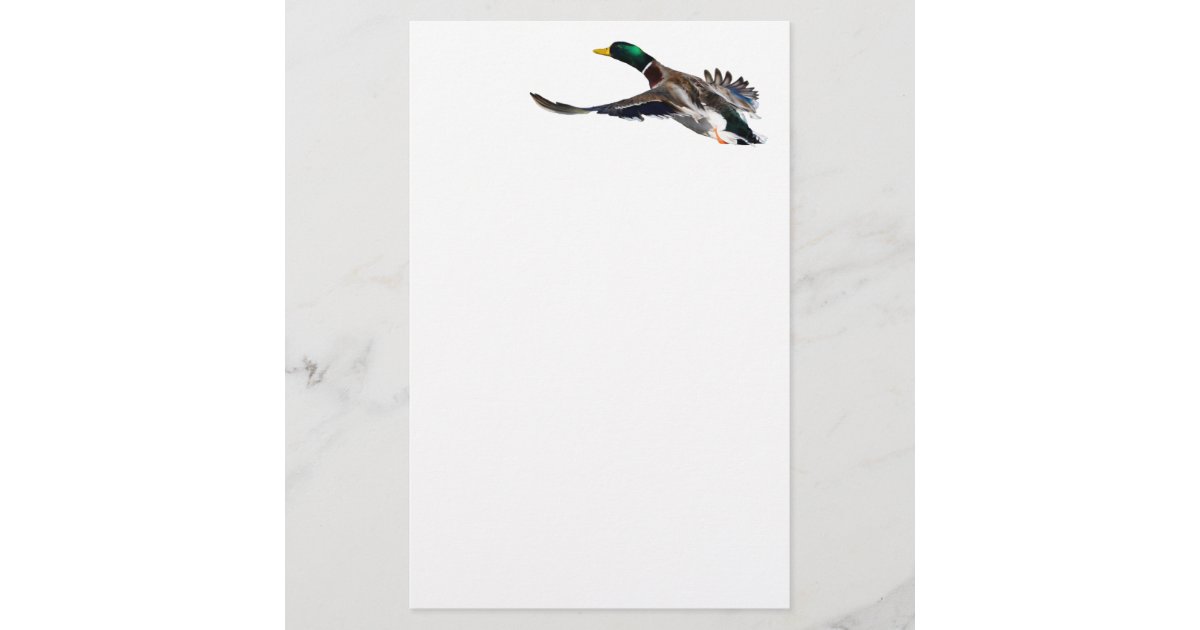 duck stationery | Zazzle