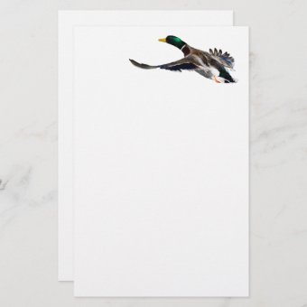 duck stationery | Zazzle