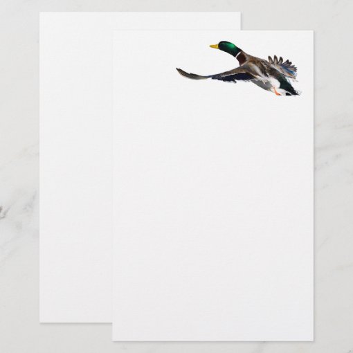 duck stationery | Zazzle