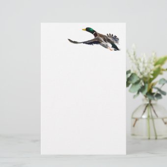 duck stationery | Zazzle