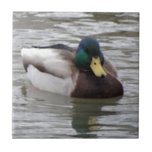 Duck Decorative Ceramic Tiles | Zazzle