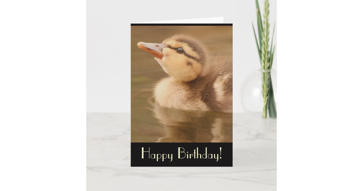 Duckling Birthday Card | Zazzle