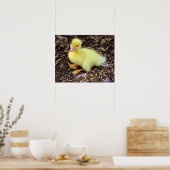 Duckling Poster | Zazzle