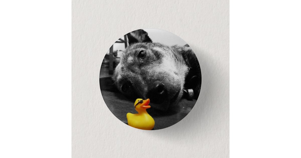 'Ducks Best Friend' Rubber Duck Button (small) | Zazzle