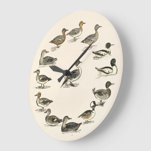 Ducks of North America Illustrations Large Clock | Zazzle