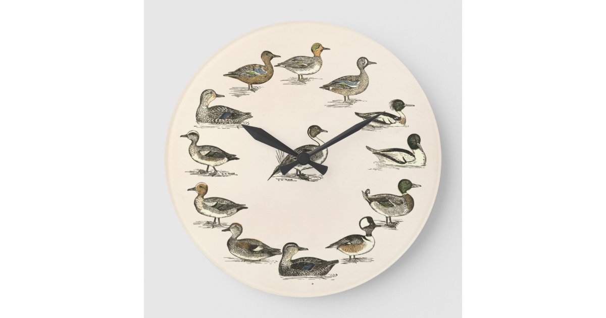 Ducks of North America Illustrations Large Clock | Zazzle