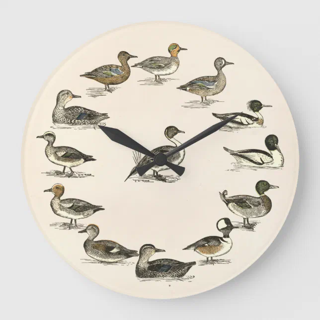 Ducks of North America Illustrations Large Clock | Zazzle
