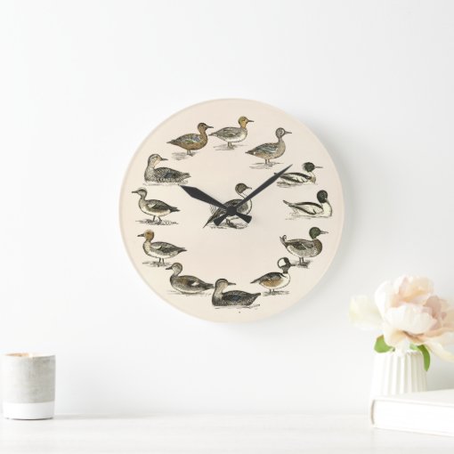 Ducks of North America Illustrations Large Clock | Zazzle