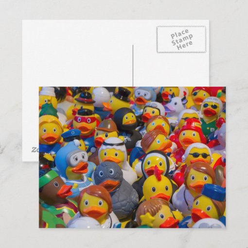 Ducks Postcard | Zazzle