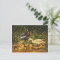 Ducks with Young at the Water by Carl Jutz Postcard | Zazzle