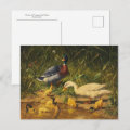 Ducks with Young at the Water by Carl Jutz Postcard | Zazzle