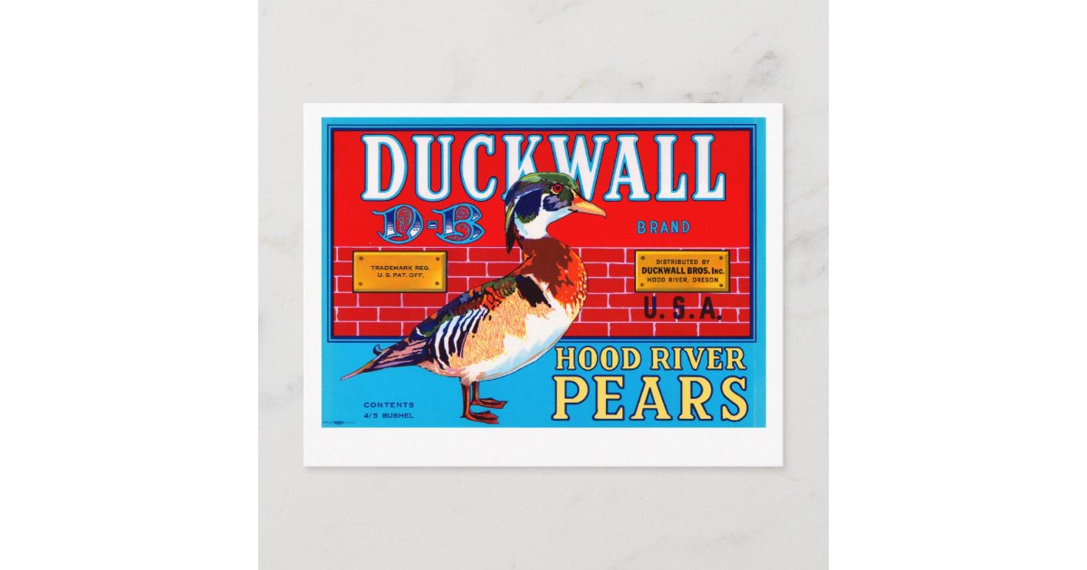 Duckwall Hood River Pears Postcard | Zazzle