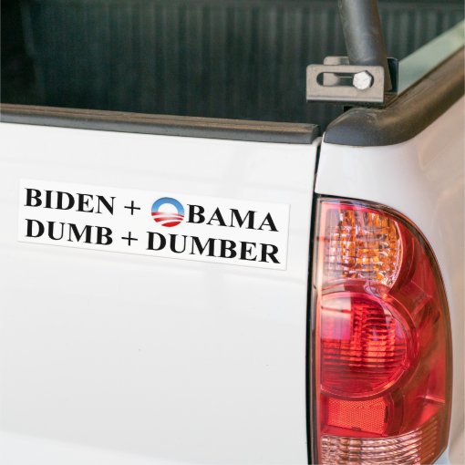 Dumb and Dumber Bumper Sticker | Zazzle