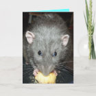 Ratty Birthday Card | Zazzle.com
