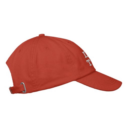 Dump Trump Embroidered Baseball Cap | Zazzle