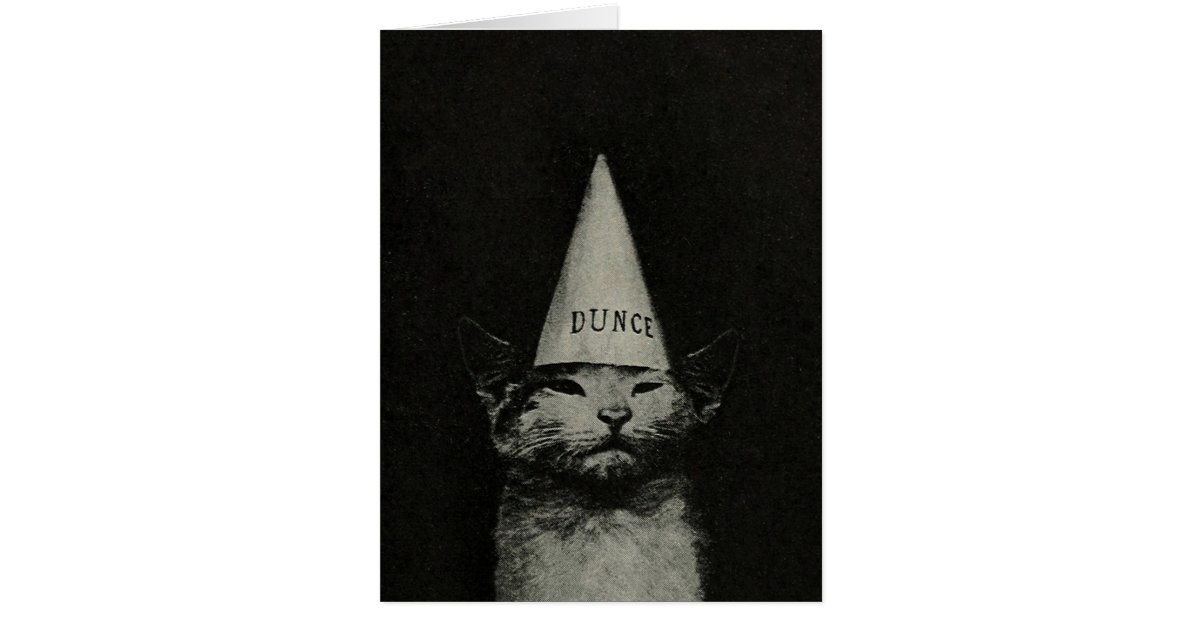Dunce Cat - LARGE Card / Invitations | Zazzle