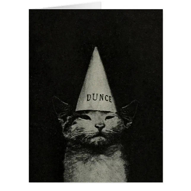 Dunce Cat - LARGE Card / Invitations | Zazzle