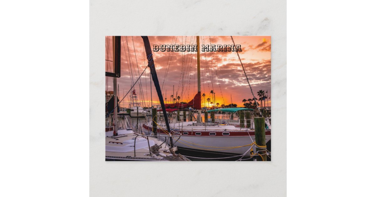 Dunedin Marina Sunset Florida Postcard | Zazzle