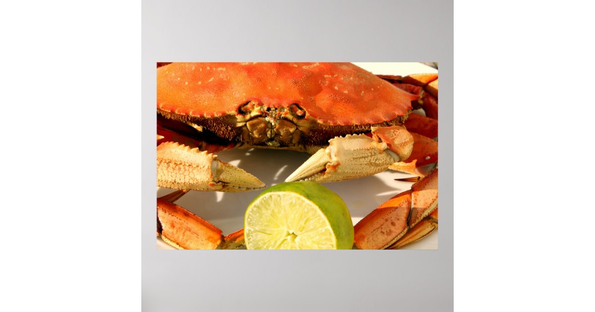 Dungeness Crab Poster | Zazzle
