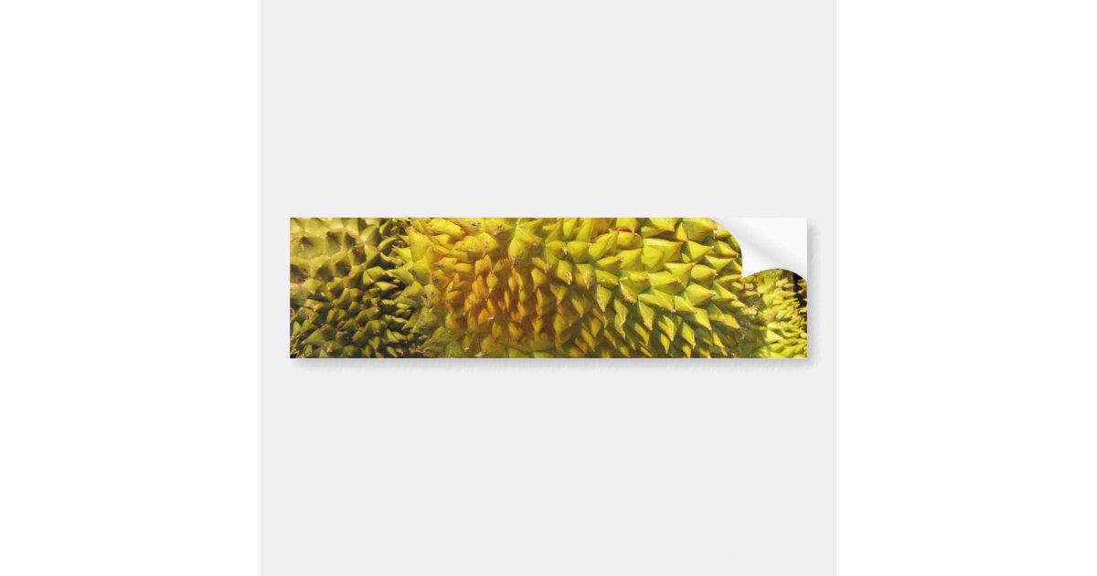 Durian Fruit Bumper Sticker | Zazzle