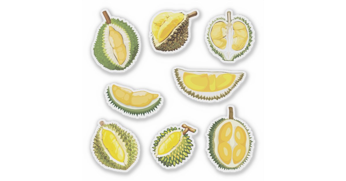 Durian Fruit Sticker | Zazzle