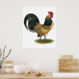 Dutch Bantam: Blue Quail Rooster Poster | Zazzle