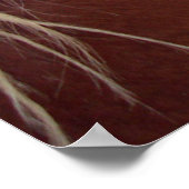 Dutch rabbit riding a horse poster | Zazzle