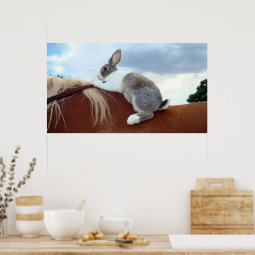 Dutch rabbit riding a horse poster | Zazzle