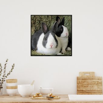 Dutch rabbits large canvas photo poster | Zazzle