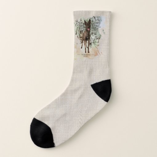 Dutch Shepherd Dog - Dutchie- Hollandse Herder Socks | Zazzle