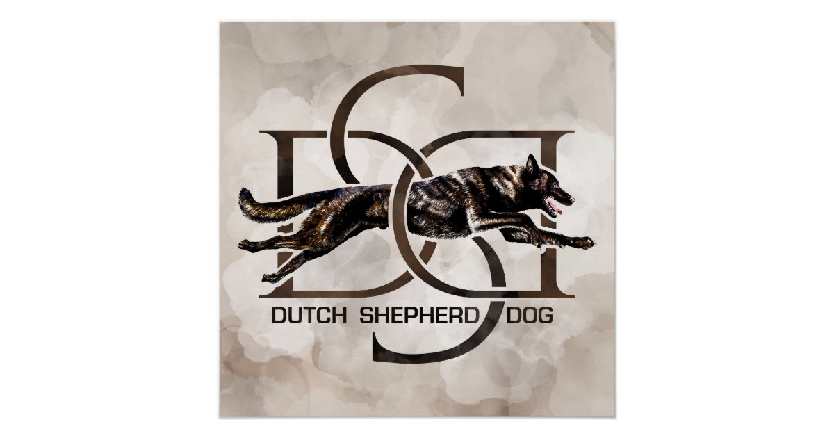 Dutch Shepherd - Dutchie Illustration Poster | Zazzle