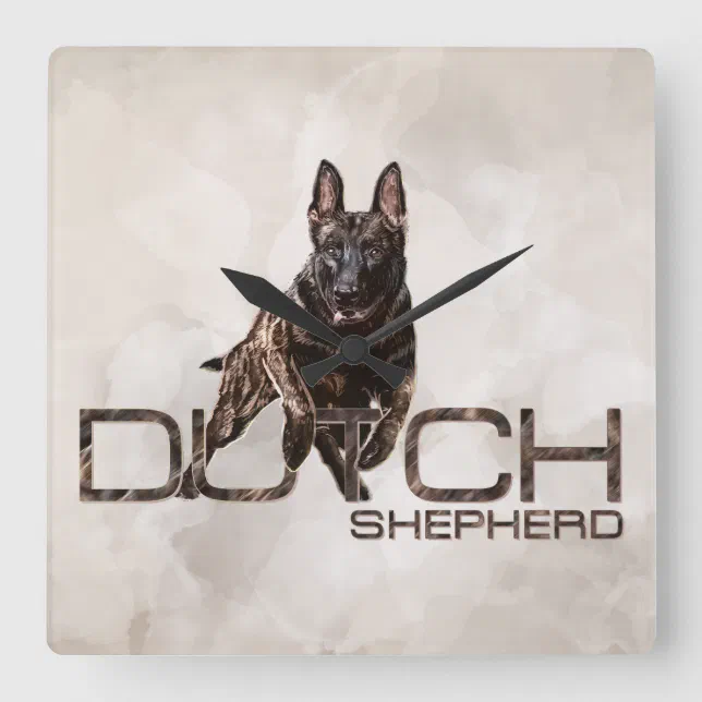 Dutch Shepherd - Dutchie Illustration Square Wall Clock | Zazzle