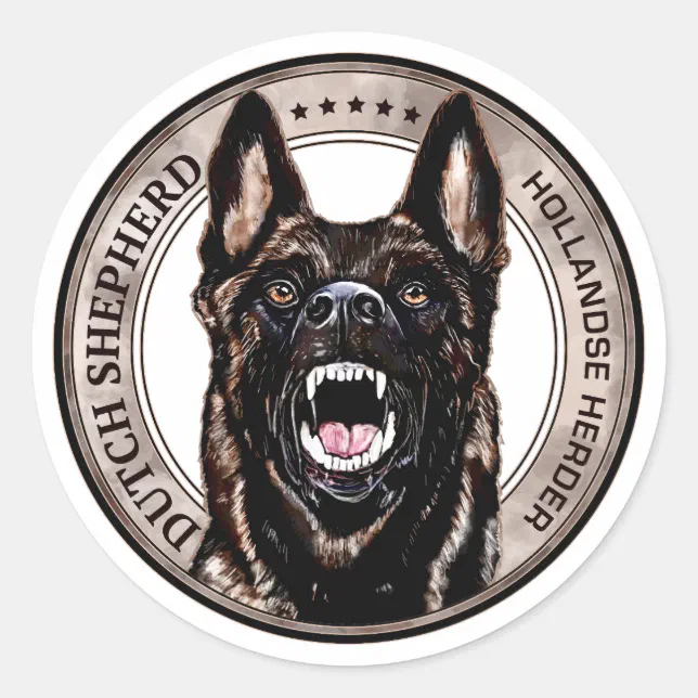 Dutch Shepherd -Hollandse Herdershond Classic Round Sticker | Zazzle