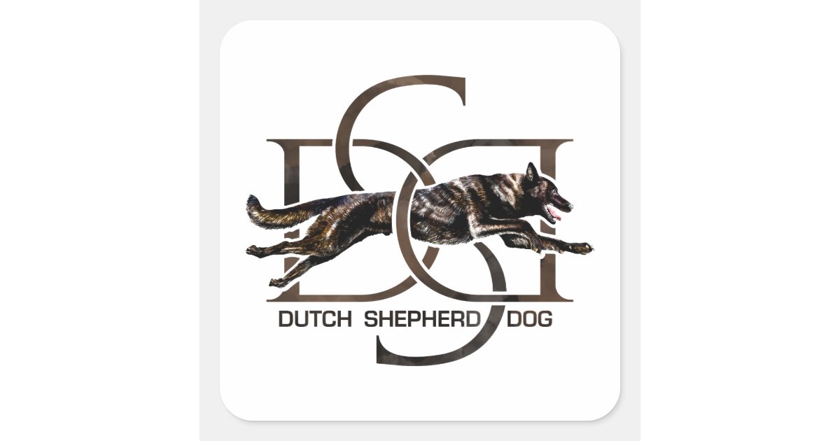 Dutch Shepherd -Hollandse Herdershond Square Sticker | Zazzle