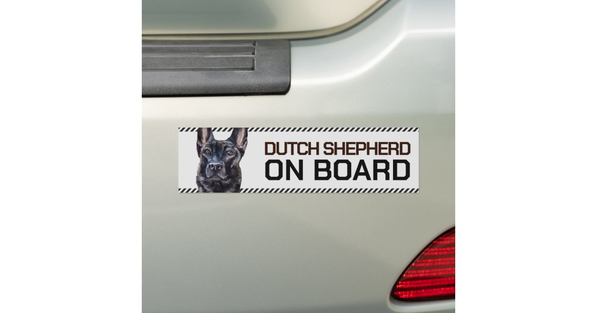 Dutch Shepherd on Board Bumper Sticker | Zazzle