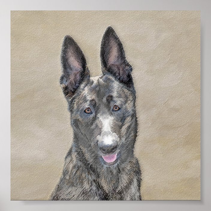 Dutch Shepherd Painting - Cute Original Dog Art Poster | Zazzle.com