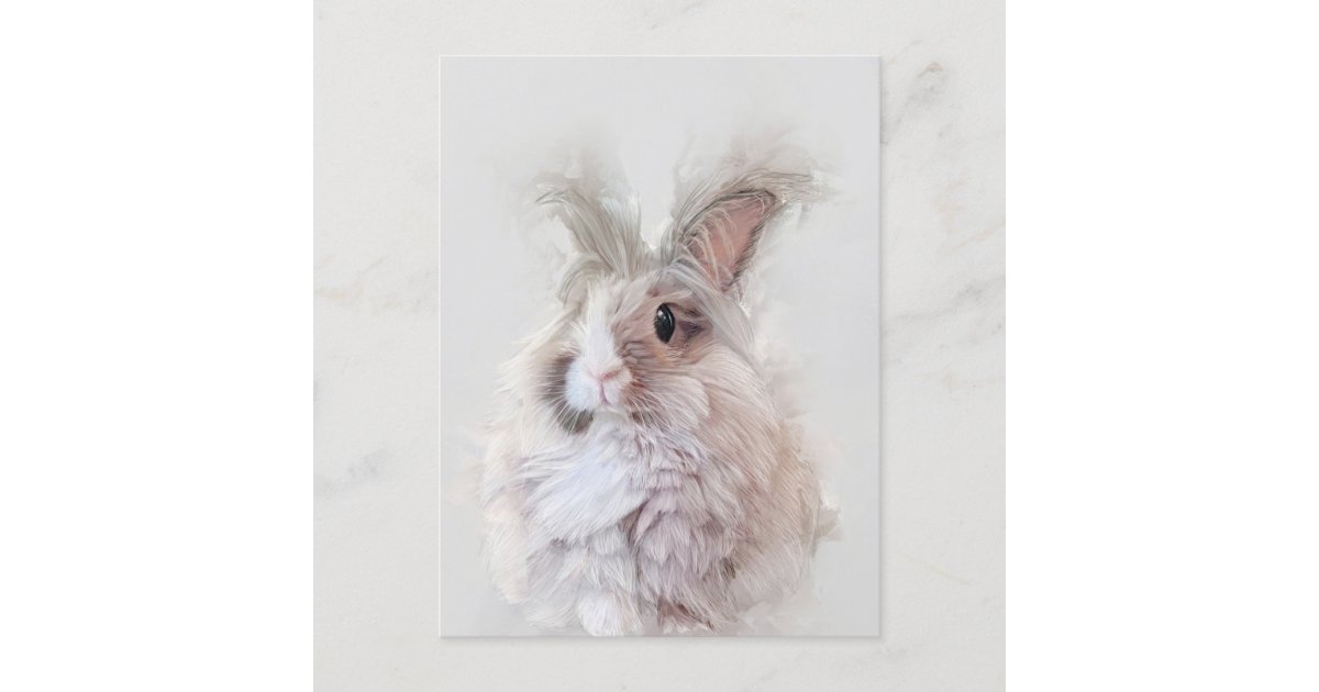Dwarf Angora Rabbit Wildlife Portrait Postcard | Zazzle